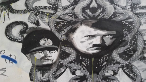 The Fall and Rise of AfD: Windows of Opportunity and Political Culture ...